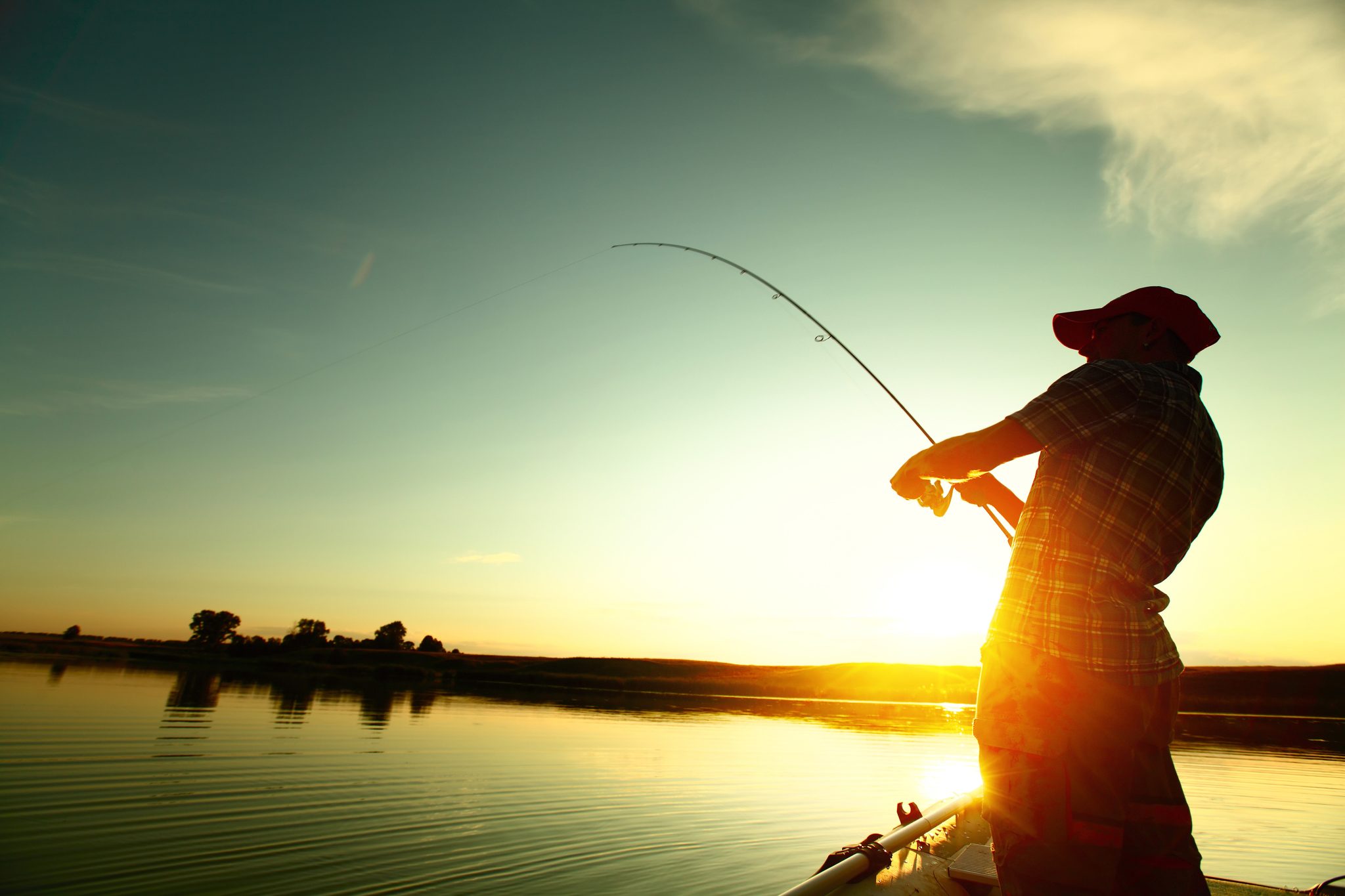 Fishing Rod Power Explained: The Backbone of a Successful Catch ...